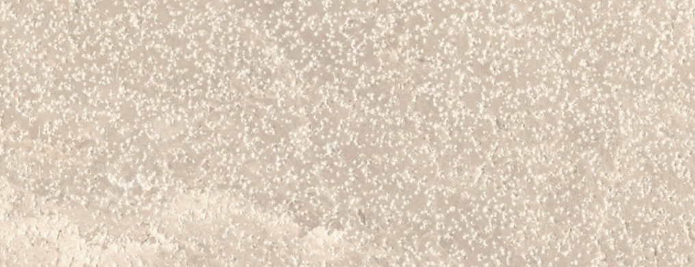 Vizon Beige – Efendioğlu Marble